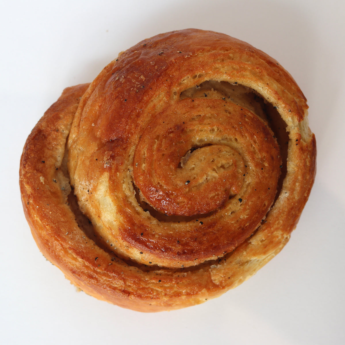 Ocean Roll – The Sparrow Bakery